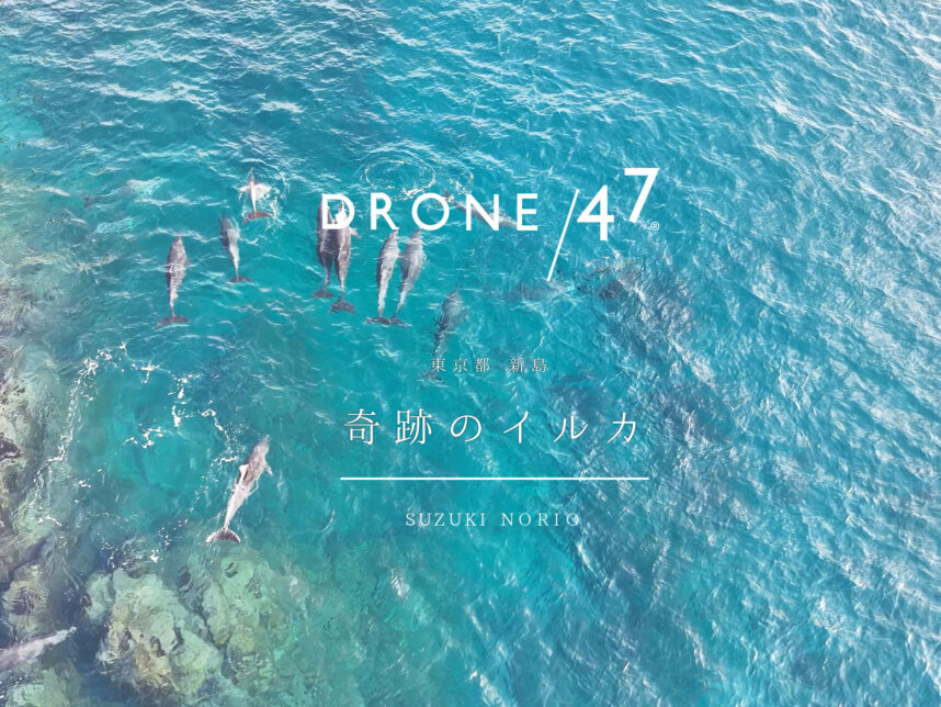 探す - DRONE47